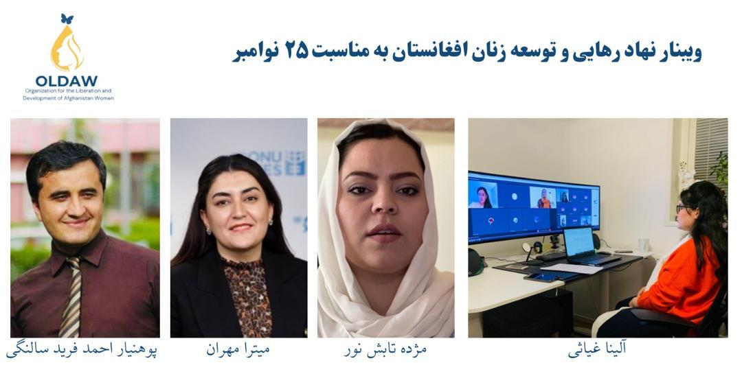 Webinar and Campaign for the Elimination of Violence Against Women – OLDAW